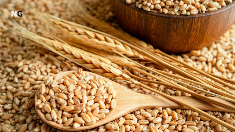 Is Spelt Gluten Free? Know its Gluten Status Before You Eat It ...