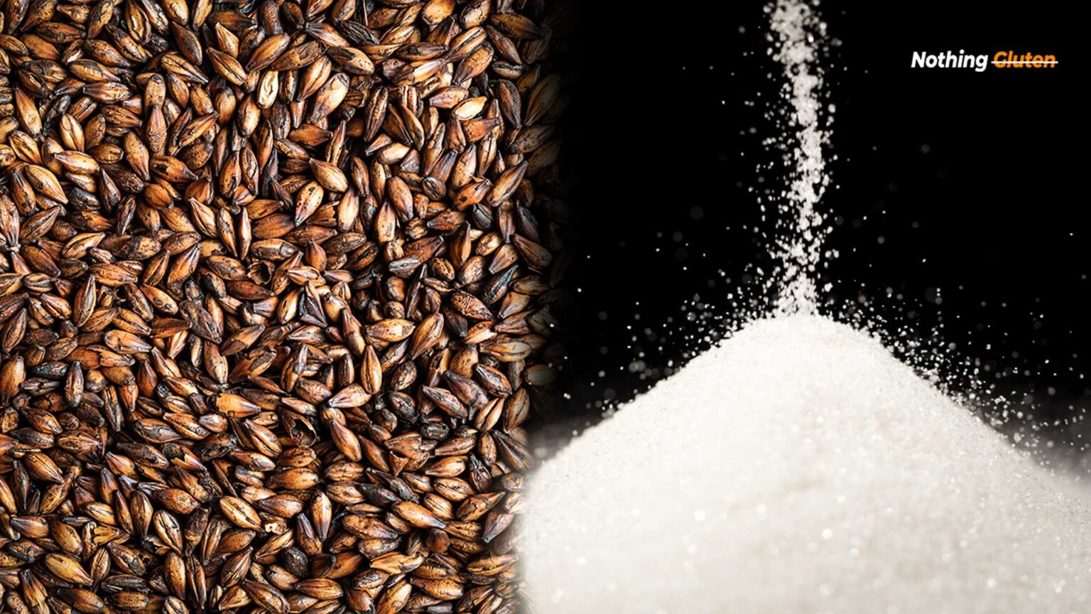 Is Malt Flavor Gluten Free? Socking Truth! - Nothing Gluten